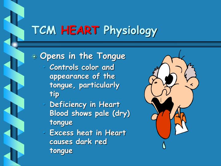 PPT - Zang-Fu Physiology PowerPoint Presentation - ID:3201941