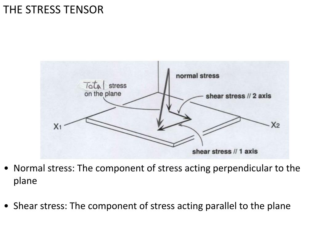 PPT - Earthquake Seismology: The stress tensor Equation of motion Hooke ...