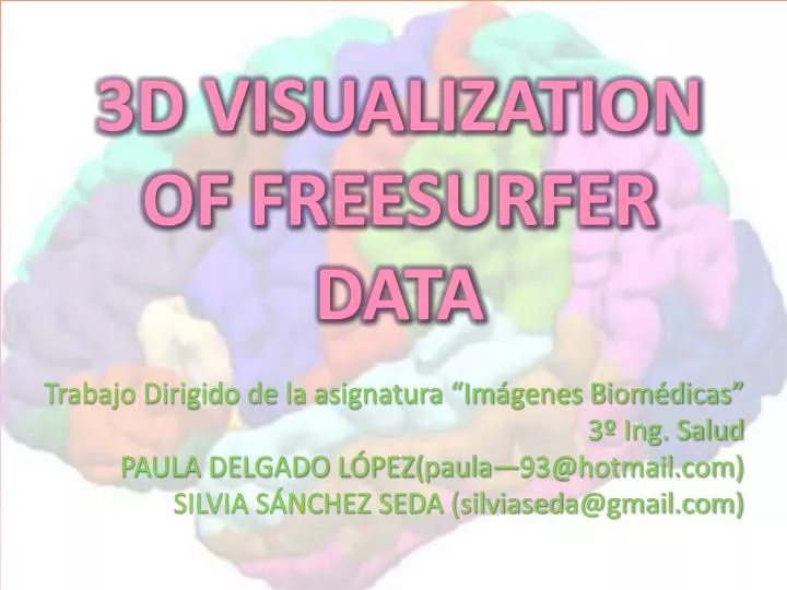 PPT - 3D VISUALIZATION OF FREESURFER DATA PowerPoint Presentation, free ...