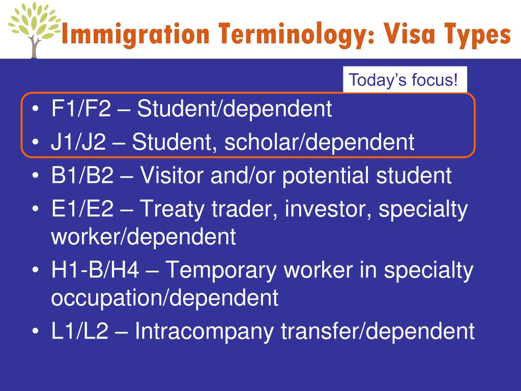 PPT - Immigration 101: Student Regulations UF International Center ...