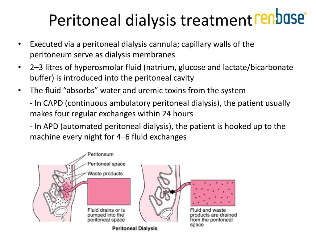 PPT - Drug therapy in renal failure Kari Laine, MD, PhD University of ...