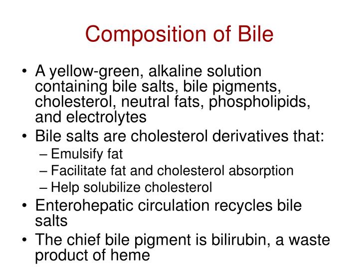 PPT - The Digestive System Part A PowerPoint Presentation - ID:3204393