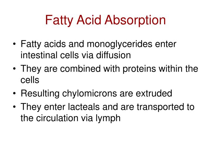 PPT - The Digestive System Part A PowerPoint Presentation - ID:3204393