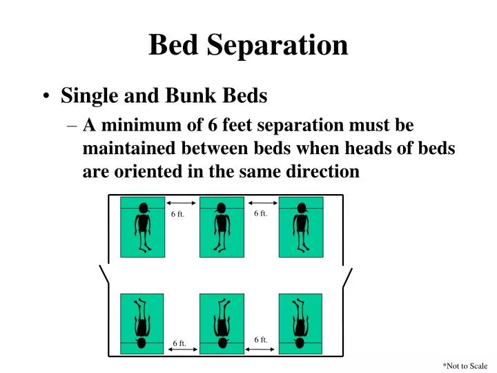 PPT - Bed Separation PowerPoint Presentation, free download - ID:3204467