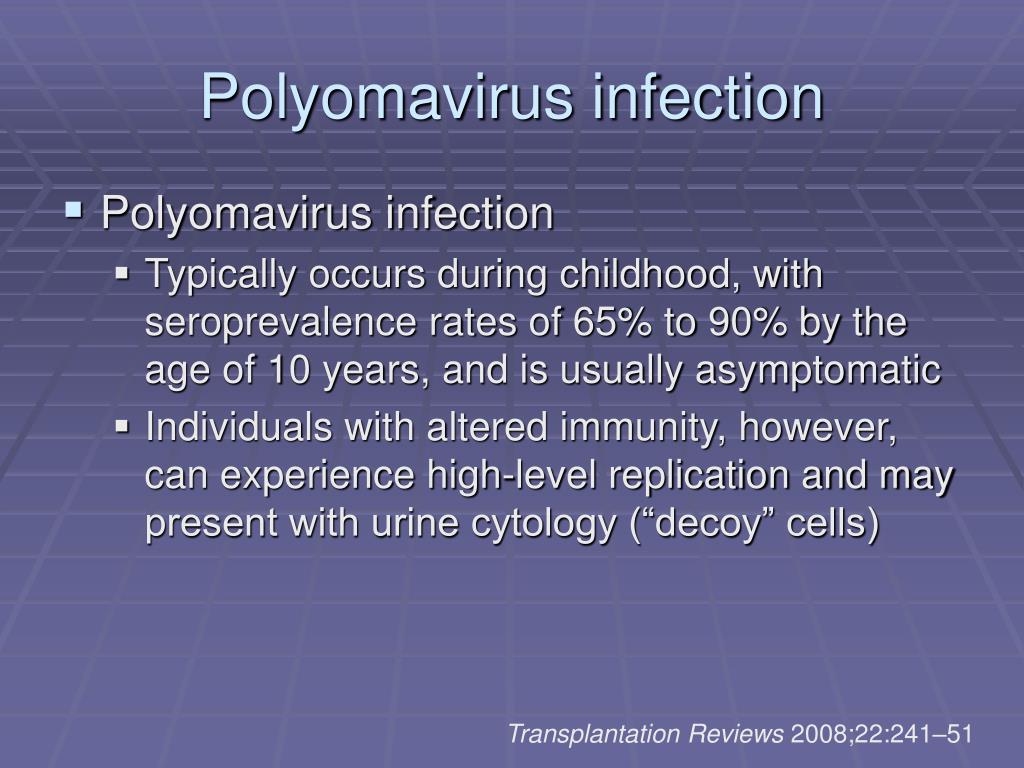 PPT - BK virus infection post renal transplant PowerPoint Presentation ...