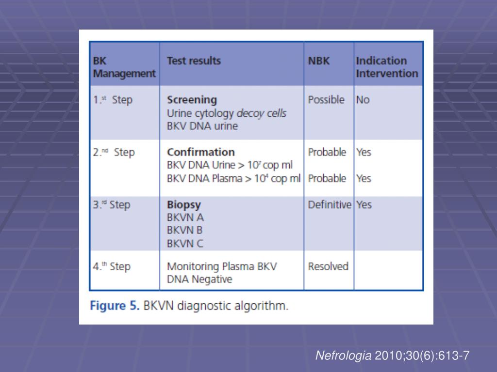 PPT - BK virus infection post renal transplant PowerPoint Presentation ...