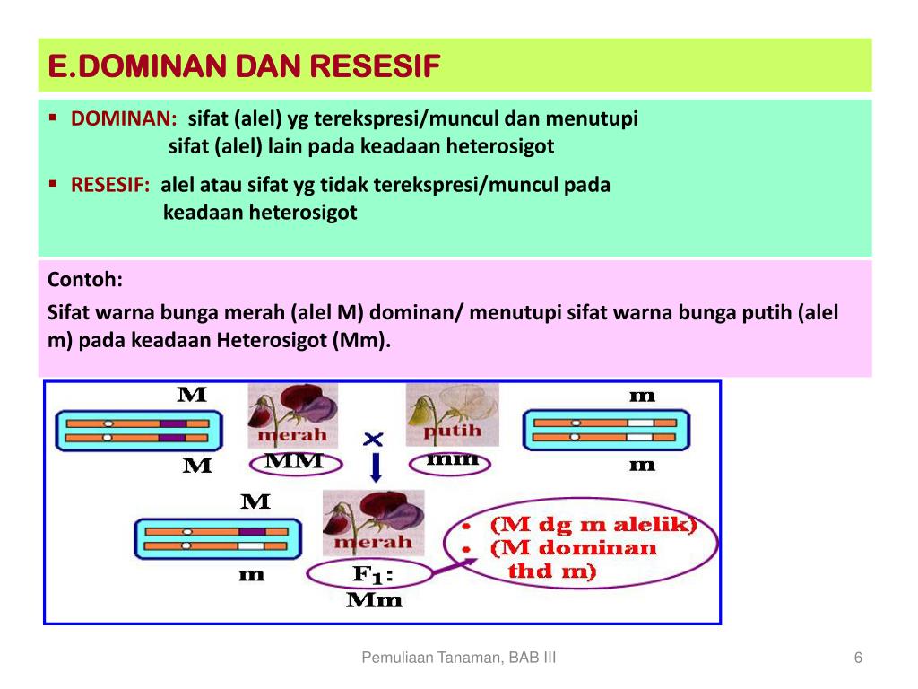 PPT - BAB III HUKUM MENDEL TENTANG PEWARISAN SIFAT DAN PREDIKSI ...