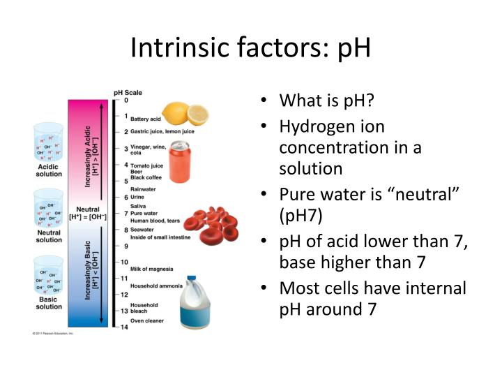 PPT - Food: what sorts of microbes live there, and how? PowerPoint ...