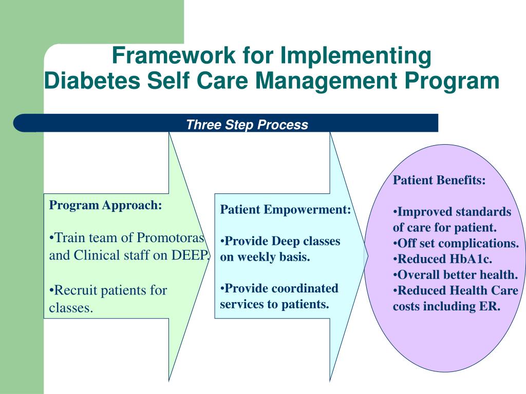 PPT - Texas Diabetes Education & Care Management Project PowerPoint ...