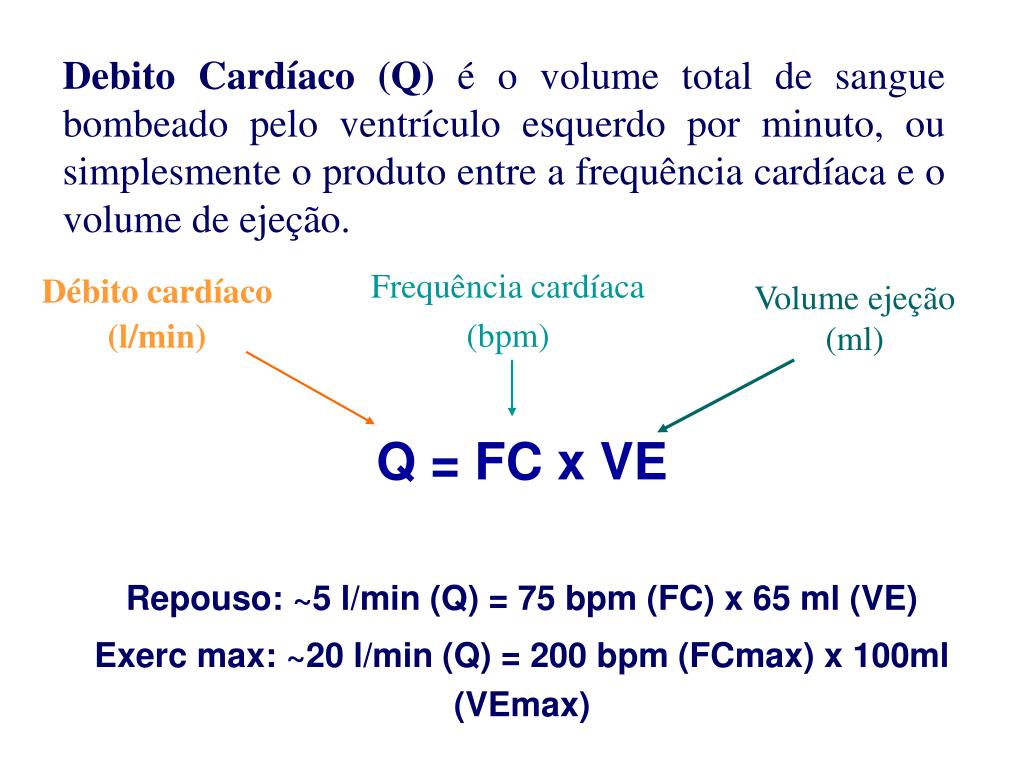 PPT - Principais funções cardiovasculares: PowerPoint Presentation ...