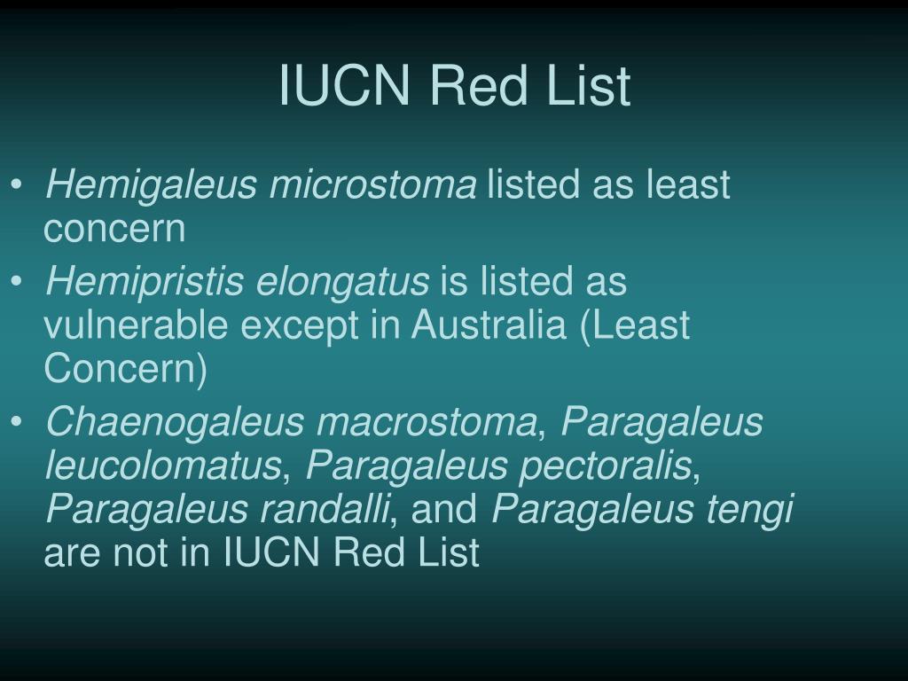 PPT - Family Hemigaleidae The Weasel Sharks PowerPoint Presentation ...
