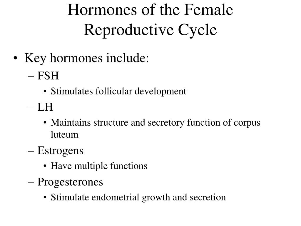 Ppt Female Reproductive System Powerpoint Presentation Free Download