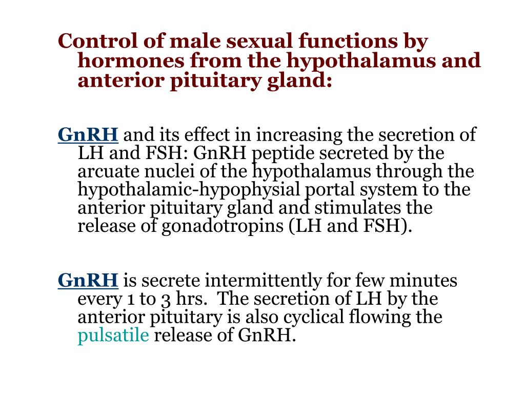 Ppt Reproductive Physiology Lecture 1 Hypothalamic Pituitary Gonadal