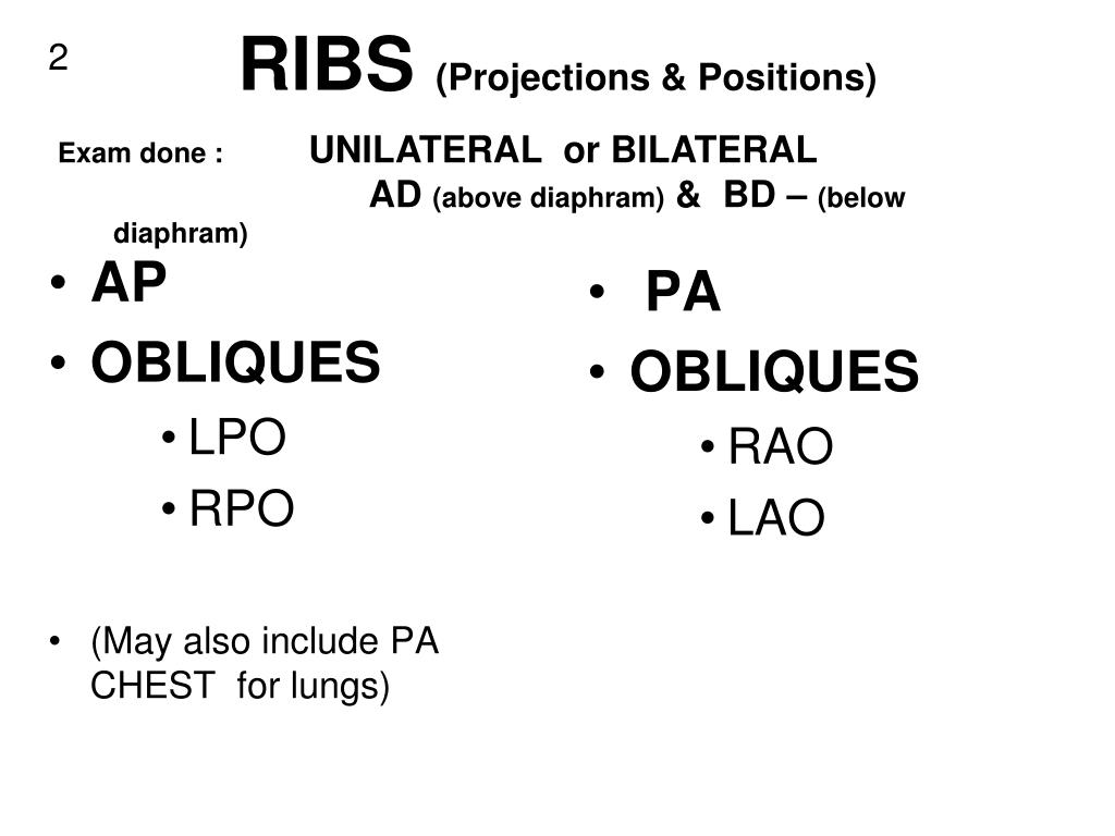 PPT - PA -anterior side BEST SEEN AP -posterior side BEST SEEN ...