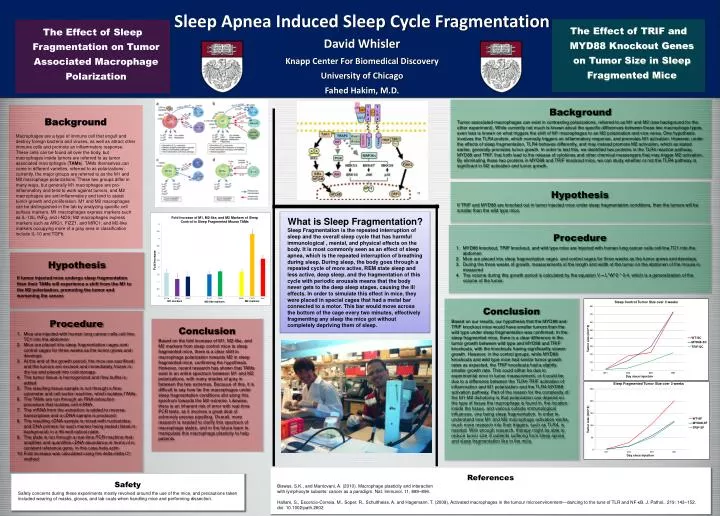 PPT - Sleep Apnea Induced Sleep Cycle Fragmentation David Whisler Knapp ...