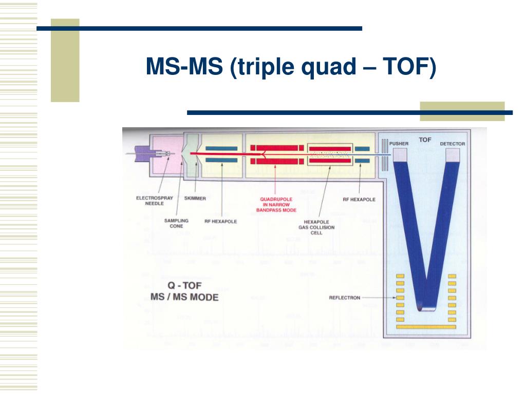 PPT - LC-MS PowerPoint Presentation, free download - ID:3208022 PPT - LC-MS PowerPoint Presentation, free download - ID:3208022