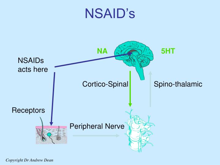 PPT - Pain Classification and Opioid Physiology PowerPoint Presentation ...