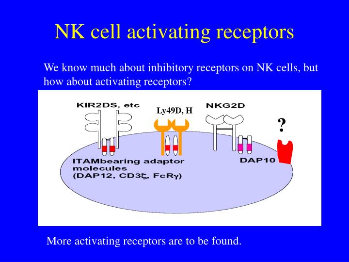 PPT - NK cells PowerPoint Presentation - ID:3208635