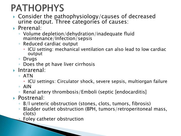 PPT - DECREASED URINE OUTPUT (Oliguria) PowerPoint Presentation - ID ...