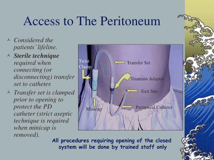 PPT - CARE OF THE HOSPITALIZED PERITONEAL DIALYSIS PATIENT PowerPoint ...