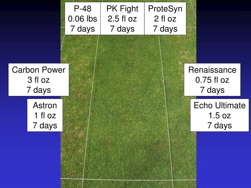 PPT - Turfgrass Decline Prevention with Innovative Products PowerPoint ...