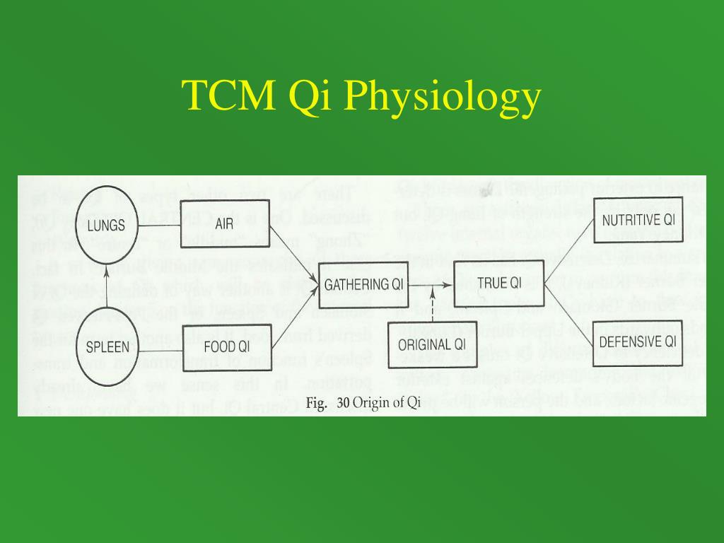 PPT - Circle the Dragon Chinese Herbal Medicine and Medical Acupuncture ...
