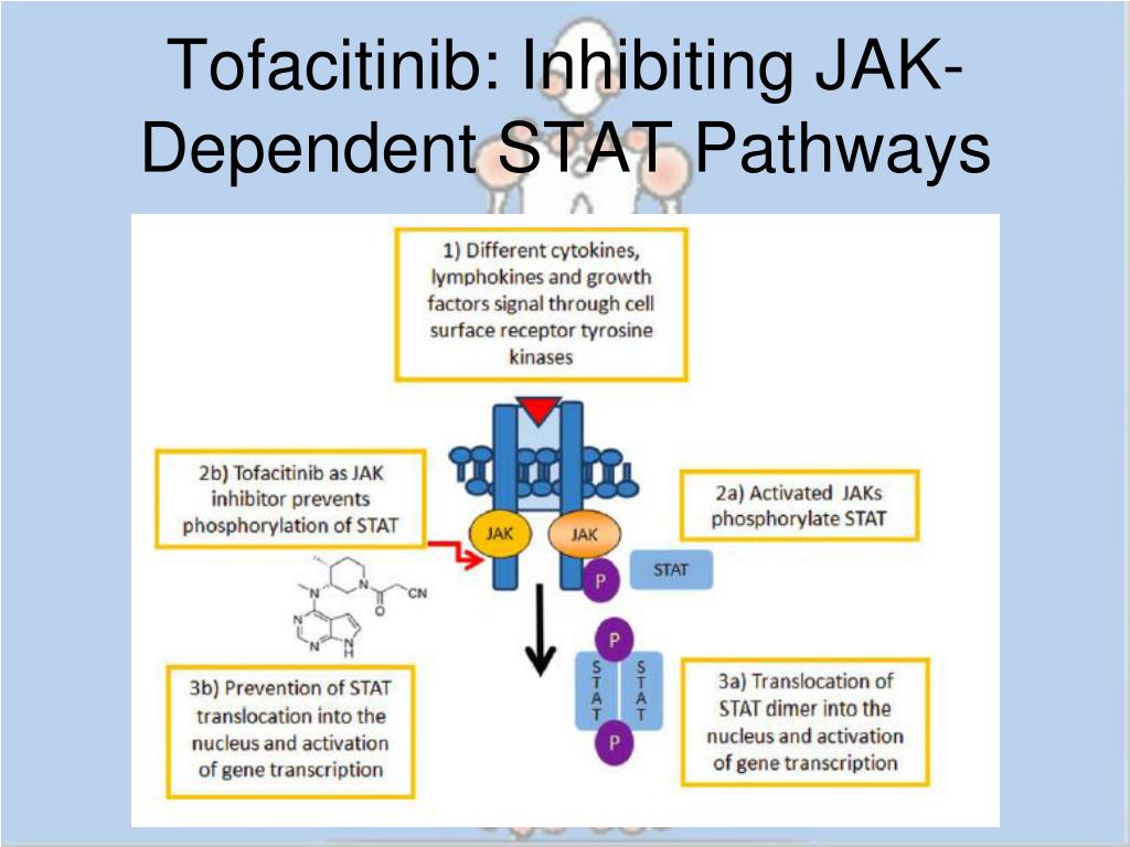 PPT - New Treatments for Rheumatoid Arthritis PowerPoint Presentation, free download - ID:3210364