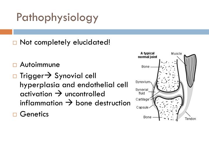 PPT - Rheumatoid Arthritis Vs Osteoarthritis PowerPoint Presentation ...
