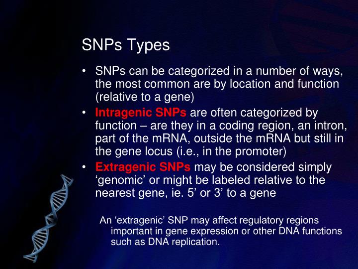 PPT - Single Nucleotide Polymorphisms PowerPoint Presentation - ID:3211011