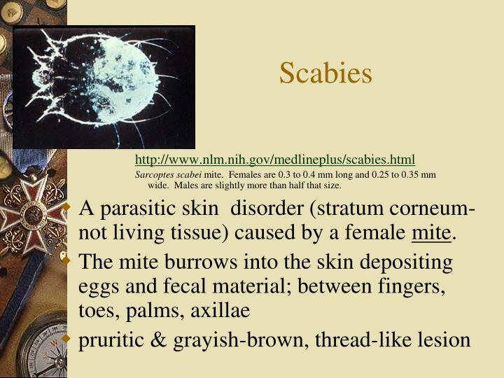 PPT - Pediatric Skin Disorders PowerPoint Presentation - ID:3211704