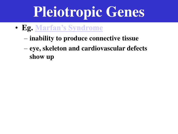 PPT - Dihybrid Crosses PowerPoint Presentation - ID:3212859