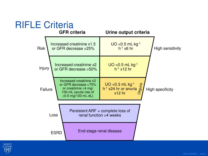 PPT - Acute Kidney Injury Post-op: Kidney attack PowerPoint ...