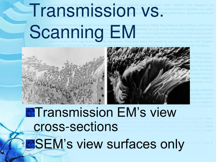 PPT - Microscopes and Cells PowerPoint Presentation - ID:3213515