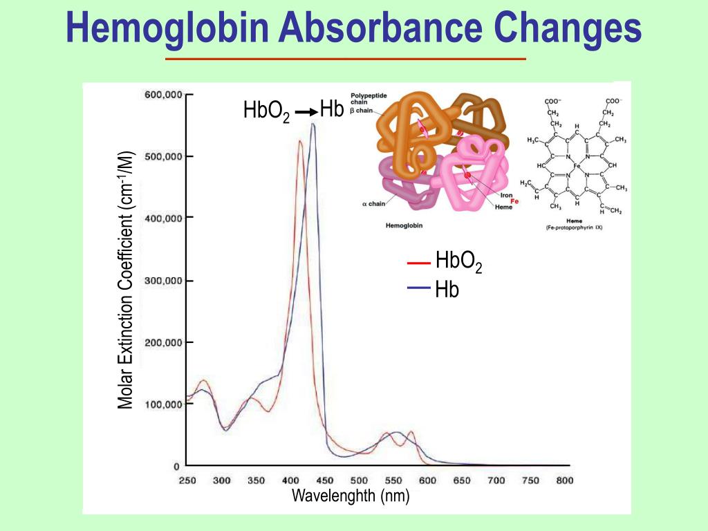 PPT - R. Ryan Geyer, Ph.D. PI: Walter F. Boron M.D., Ph.D. PowerPoint ...