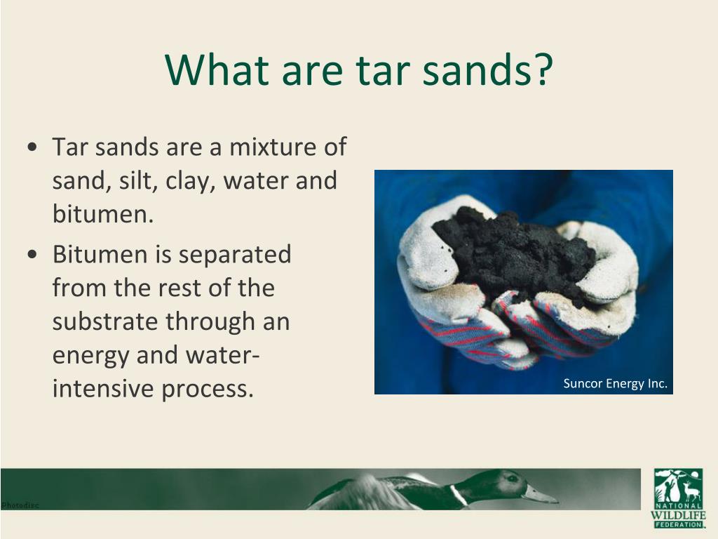 PPT - Impacts of tar sands on wildlife, water and communities in Canada ...