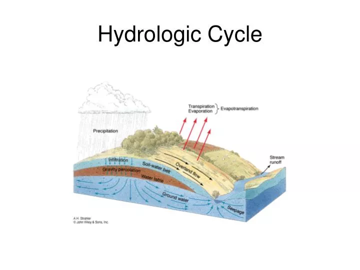 PPT - Hydrologic Cycle PowerPoint Presentation, free download - ID:3214979