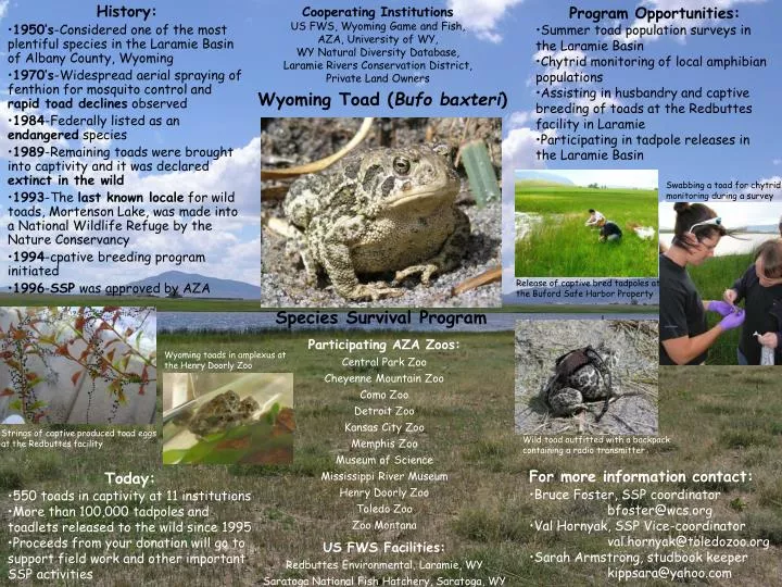 PPT - Species Survival Program PowerPoint Presentation, free download ...