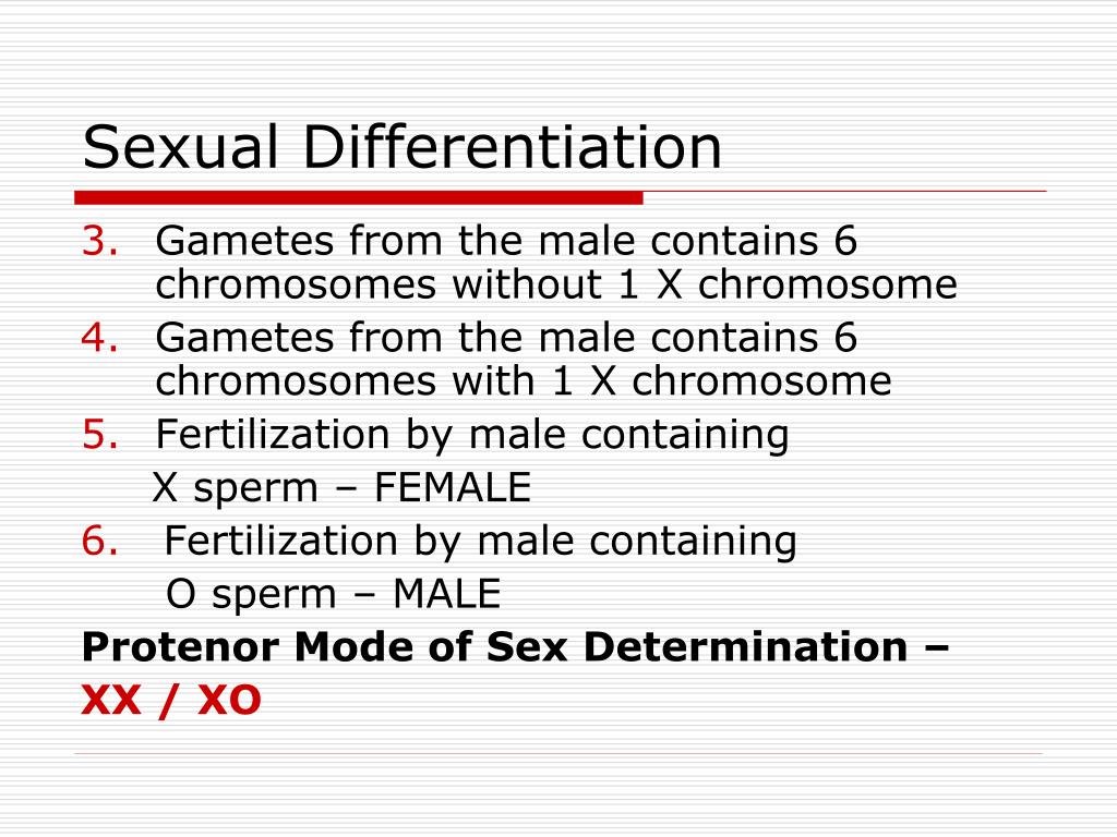 Ppt Sex Determination Powerpoint Presentation Free Download Id 3215785
