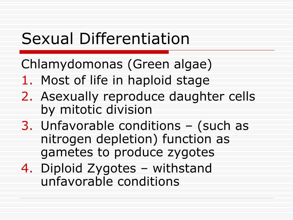 Ppt Sex Determination Powerpoint Presentation Free Download Id 3215785