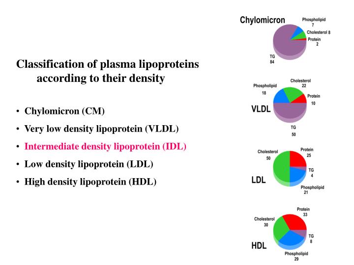 PPT - Lipoprotein Structures, Function and Metabolism PowerPoint ... PPT - Lipoprotein Structures, Function and Metabolism PowerPoint ...