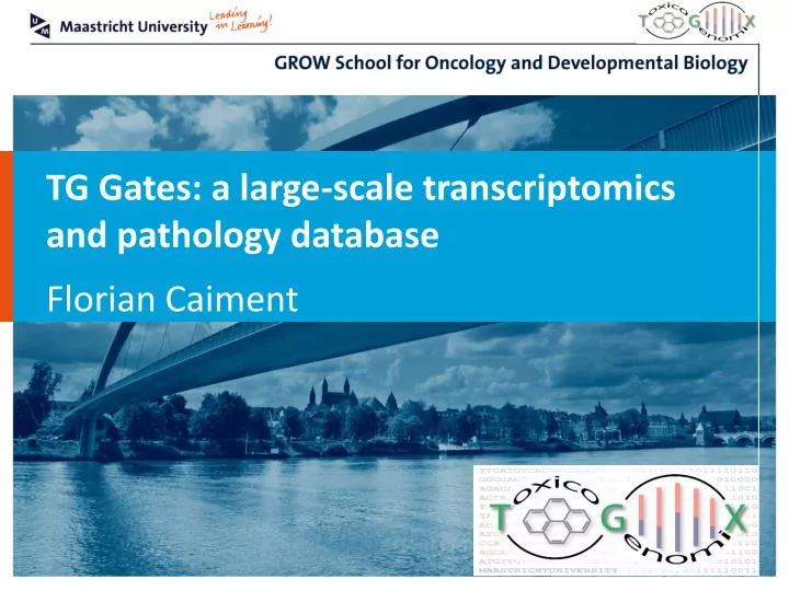 PPT - TG Gates: a large-scale transcriptomics and pathology database ...