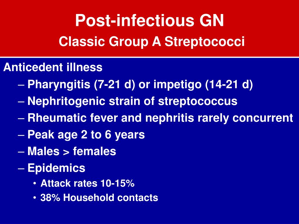 PPT - 2006 Renal Week Lecture 3 Hematuria and Glomerulonephritis Debbie ...