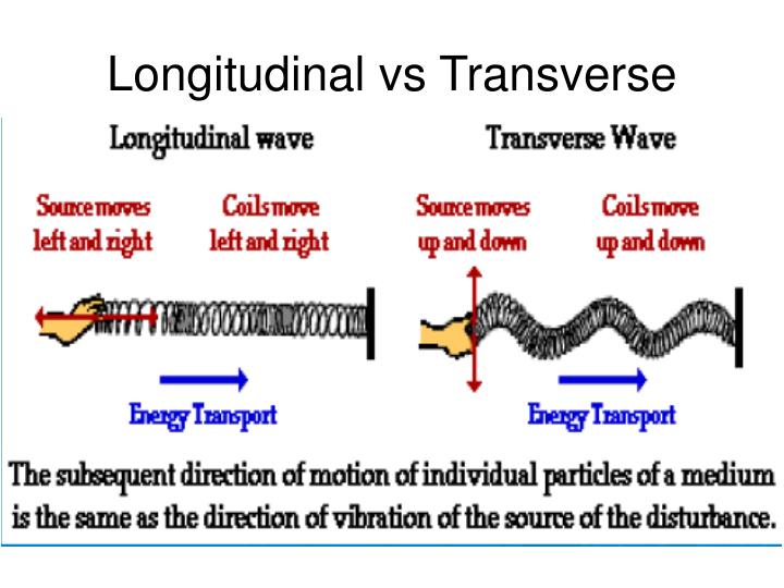 PPT - AP Physics B (Princeton 15 & Giancoli 11 & 12) PowerPoint ...