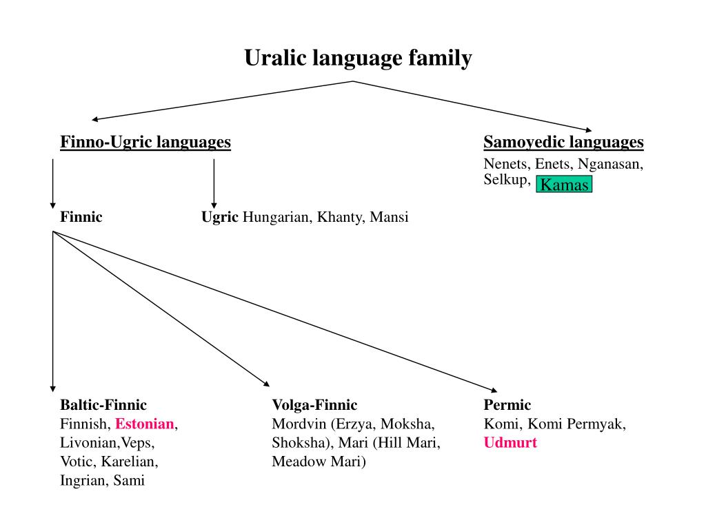 PPT - Modern Udmurt language: social and cultural aspects Svetlana ...