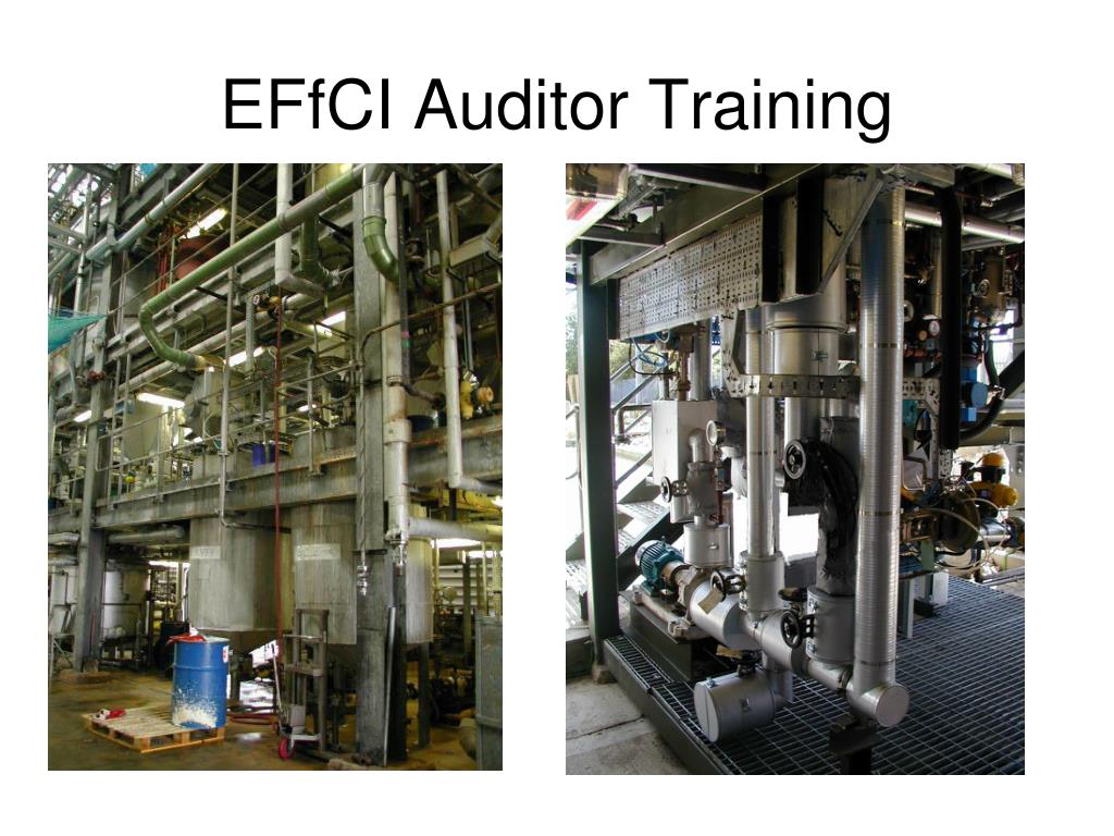 PPT - The European Federation for Cosmetic Ingredients PowerPoint ...