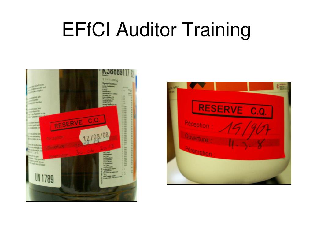PPT - The European Federation for Cosmetic Ingredients PowerPoint ...