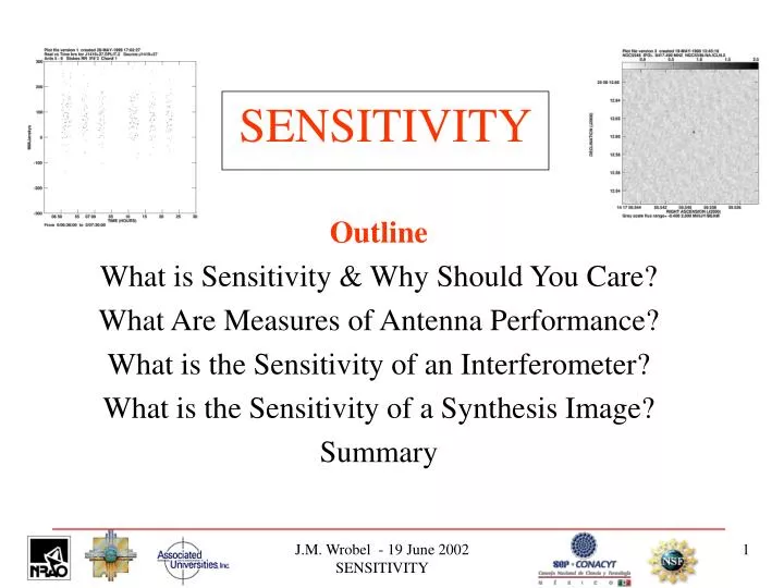 PPT - SENSITIVITY PowerPoint Presentation, free download - ID:3218224