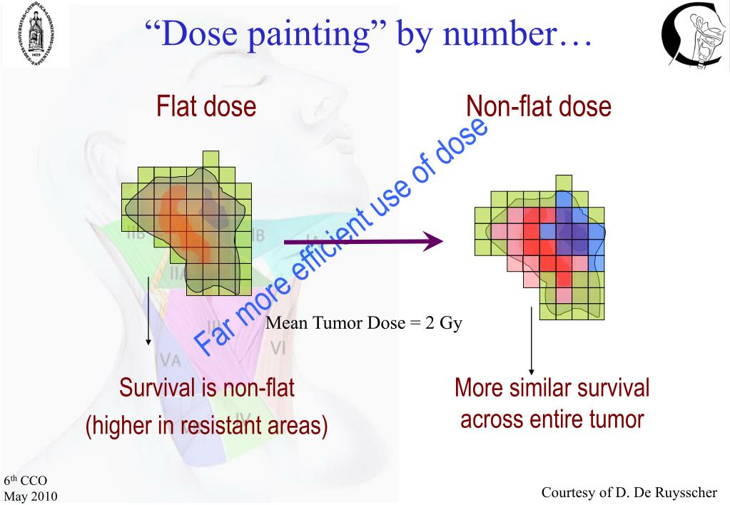 PPT - Radiation dose painting in Head and Neck treatment: how far are ...