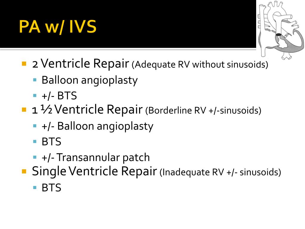 PPT - Cardiac Surgical Anomalies in the Neonate PowerPoint Presentation ...
