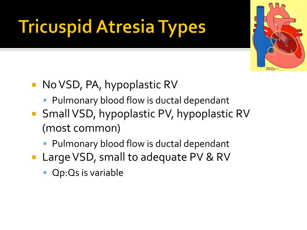 PPT - Cardiac Surgical Anomalies in the Neonate PowerPoint Presentation ...